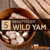 Wild Yam Root Extract: Benefits, Side Effects & Dosage