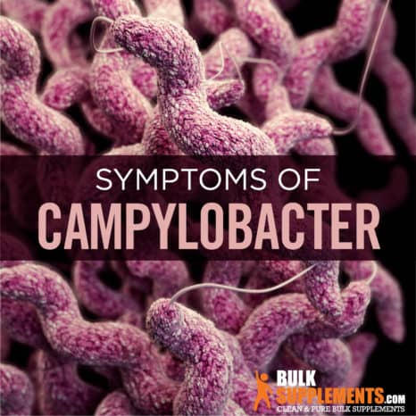 Campylobacter: Symptoms, Causes & Treatment
