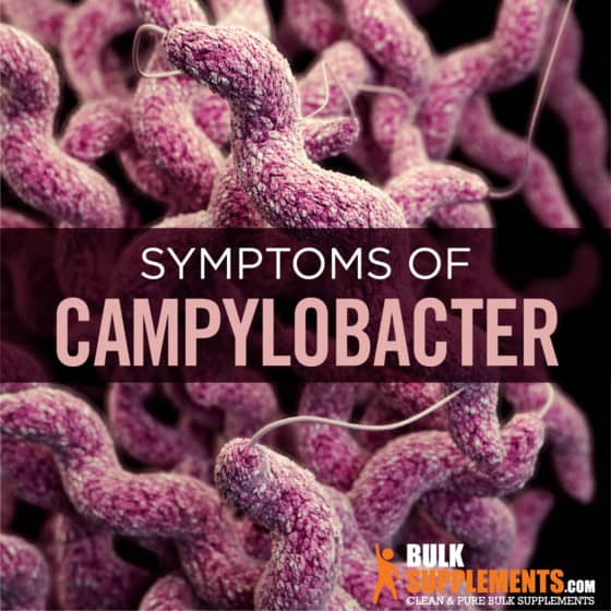 Campylobacter: Symptoms, Causes & Treatment