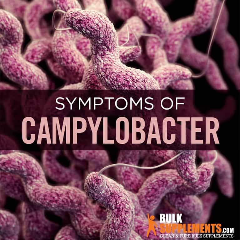Campylobacter: Symptoms, Causes & Treatment