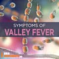 Valley Fever: Symptoms, Causes & Treatment