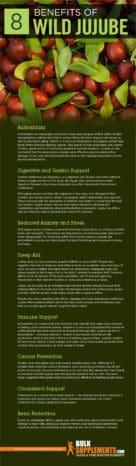 Wild Jujube Extract: Benefits, Side Effects & Dosage