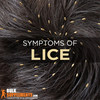 Lice: Symptoms, Causes & Treatment | BulkSupplements.com