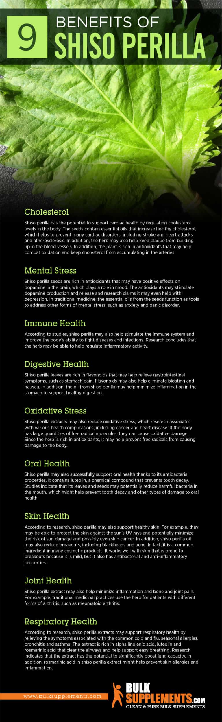 Shiso Perilla Seeds. Nature's Support For Multiple Health Benefits