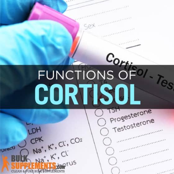 What to Know about High Cortisol Levels & the Endocrine System