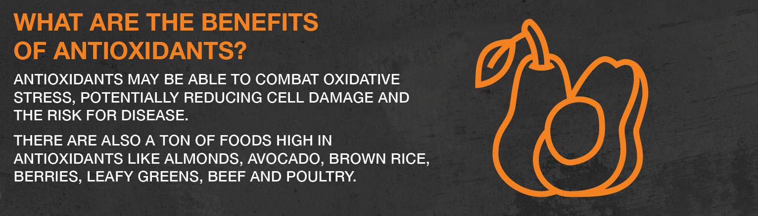 10 Powerful Antioxidants and Where to Find Them