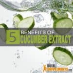 5 Ways that Cucumber Extract Can Benefit Your Diet