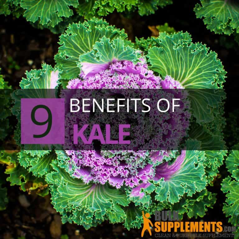Kale Powder: Discover the 9 Amazing Powers of this Super Food