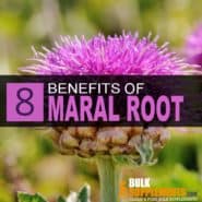 8 Benefits of Maral Root Extract Powder