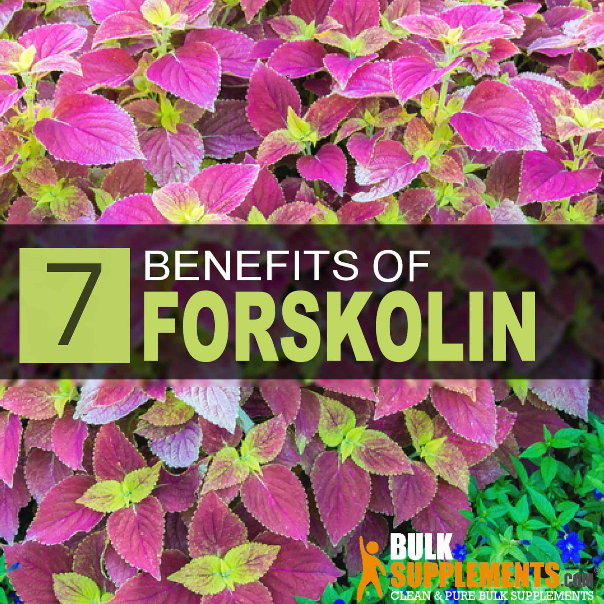 7 Good Reasons to Try Forskolin