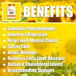 Sunflower Lecithin Softgel Capsules Benefits, Side Effects and Dosage ...