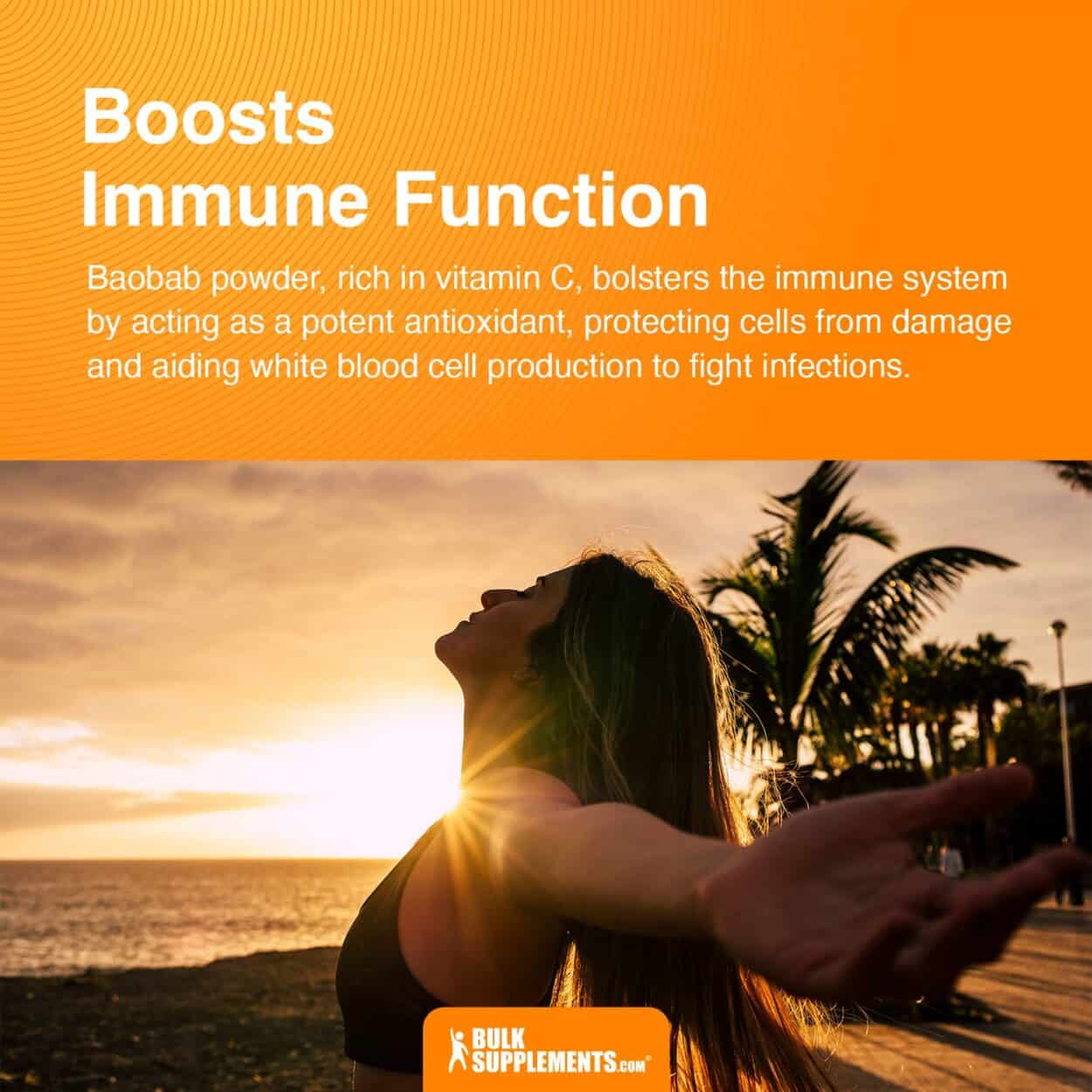 Baobab Powder. Elevate Your Health Game With This Supplement