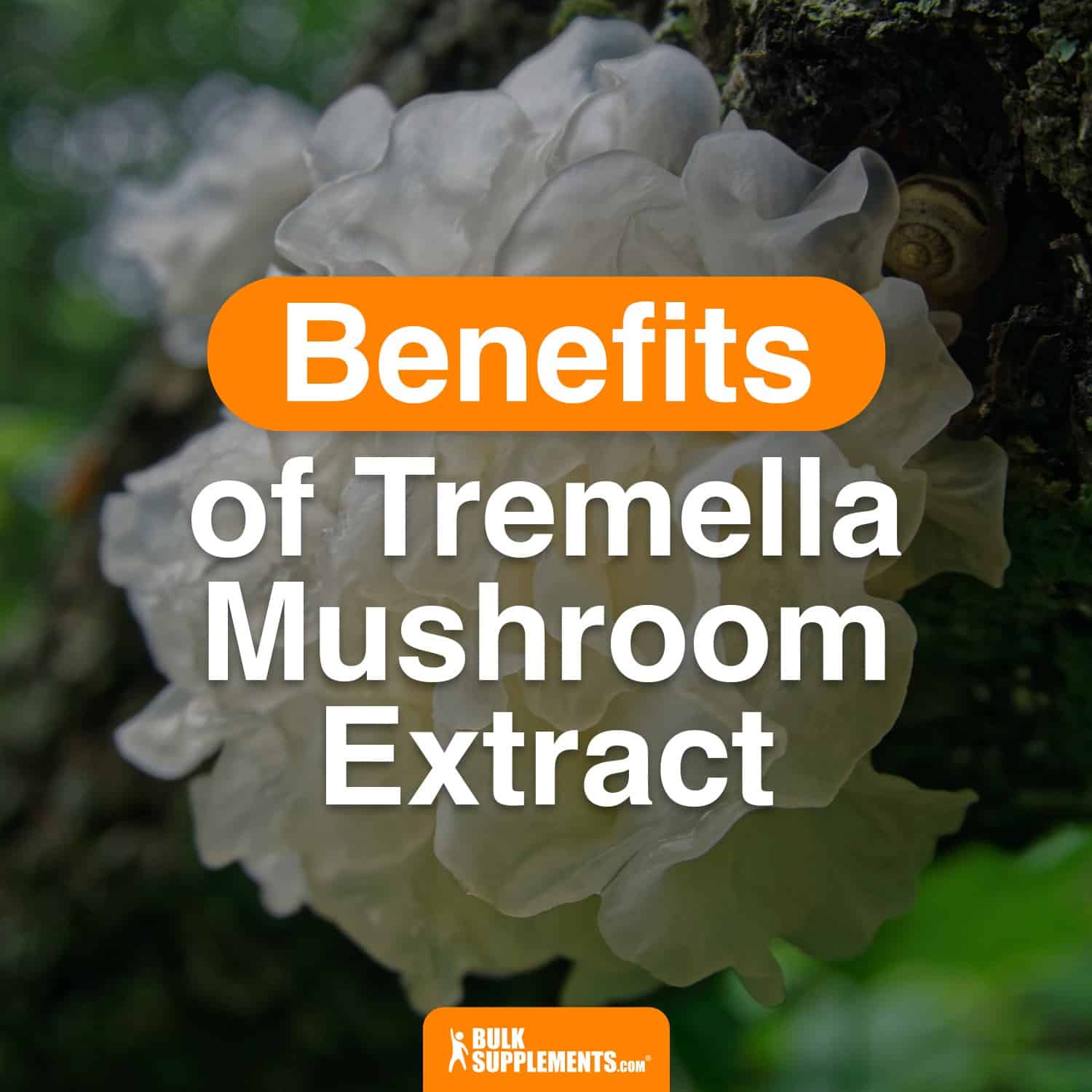 Tremella Mushroom Extract. Improve Your Overall Health