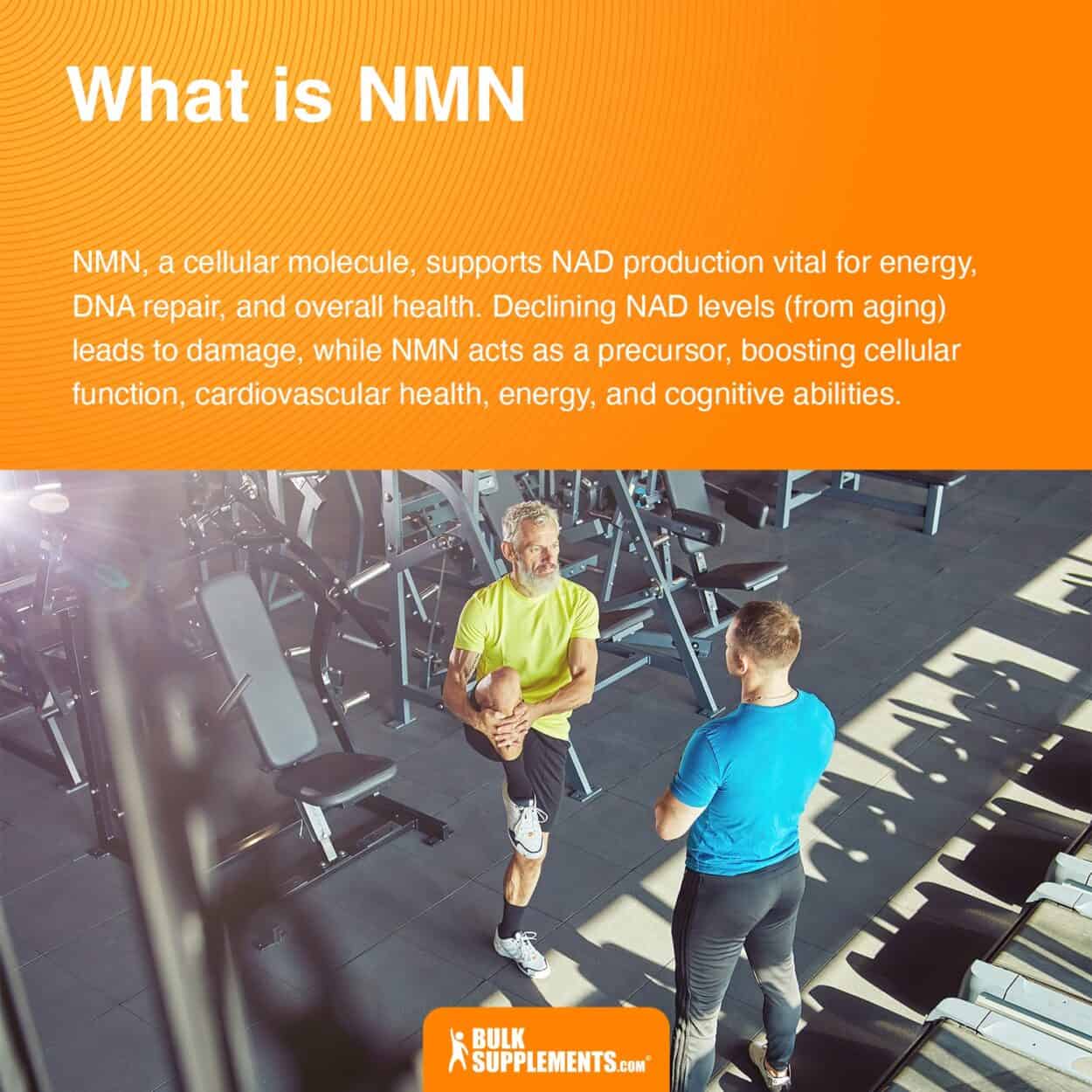 NMN vs NAD. Which Supplement Boosts Cellular Health Better?