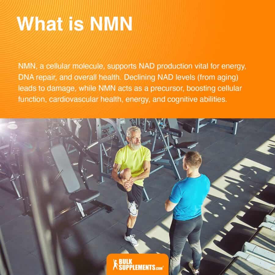 NMN vs NAD. Which Supplement Boosts Cellular Health Better?
