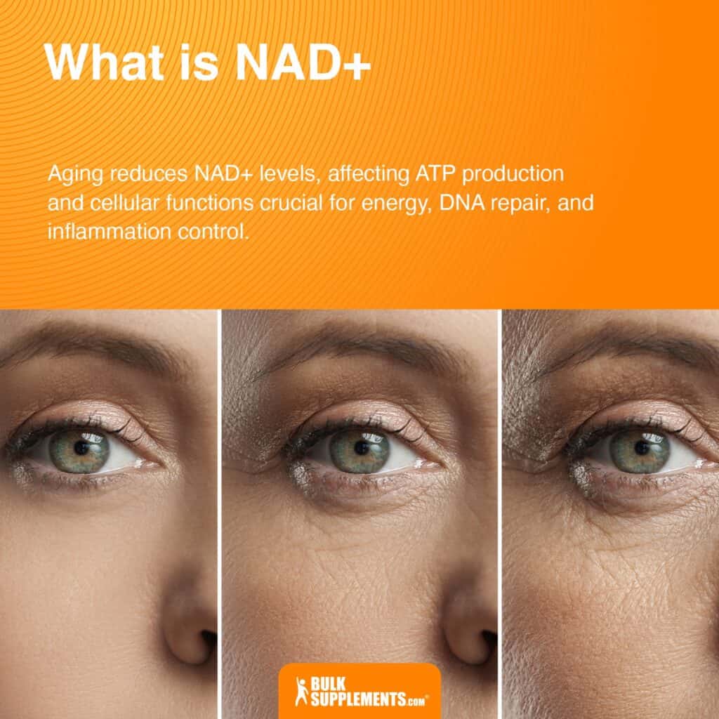 NMN vs NAD. Which Supplement Boosts Cellular Health Better?