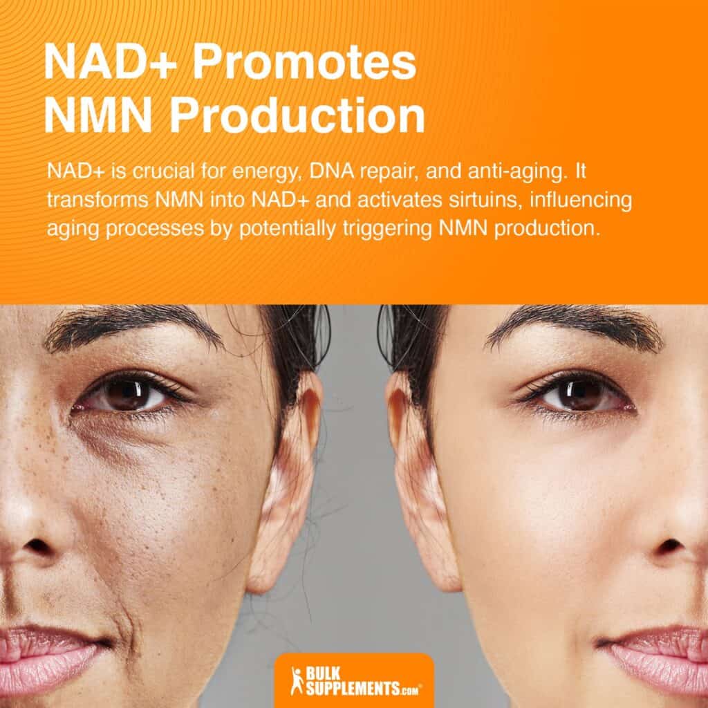 Nmn Vs Nad Which Supplement Boosts Cellular Health Better