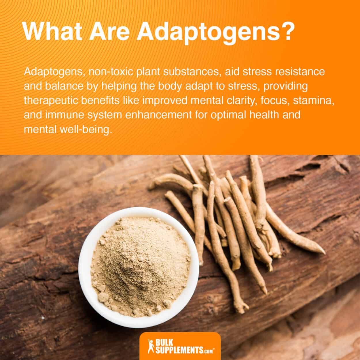 Nootropics or Adaptogens. Discover Which Is Right For You