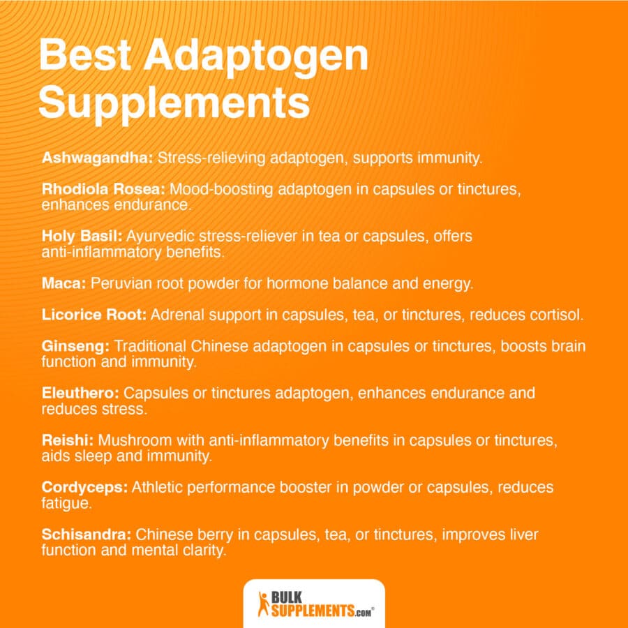 Nootropics or Adaptogens. Discover Which Is Right For You