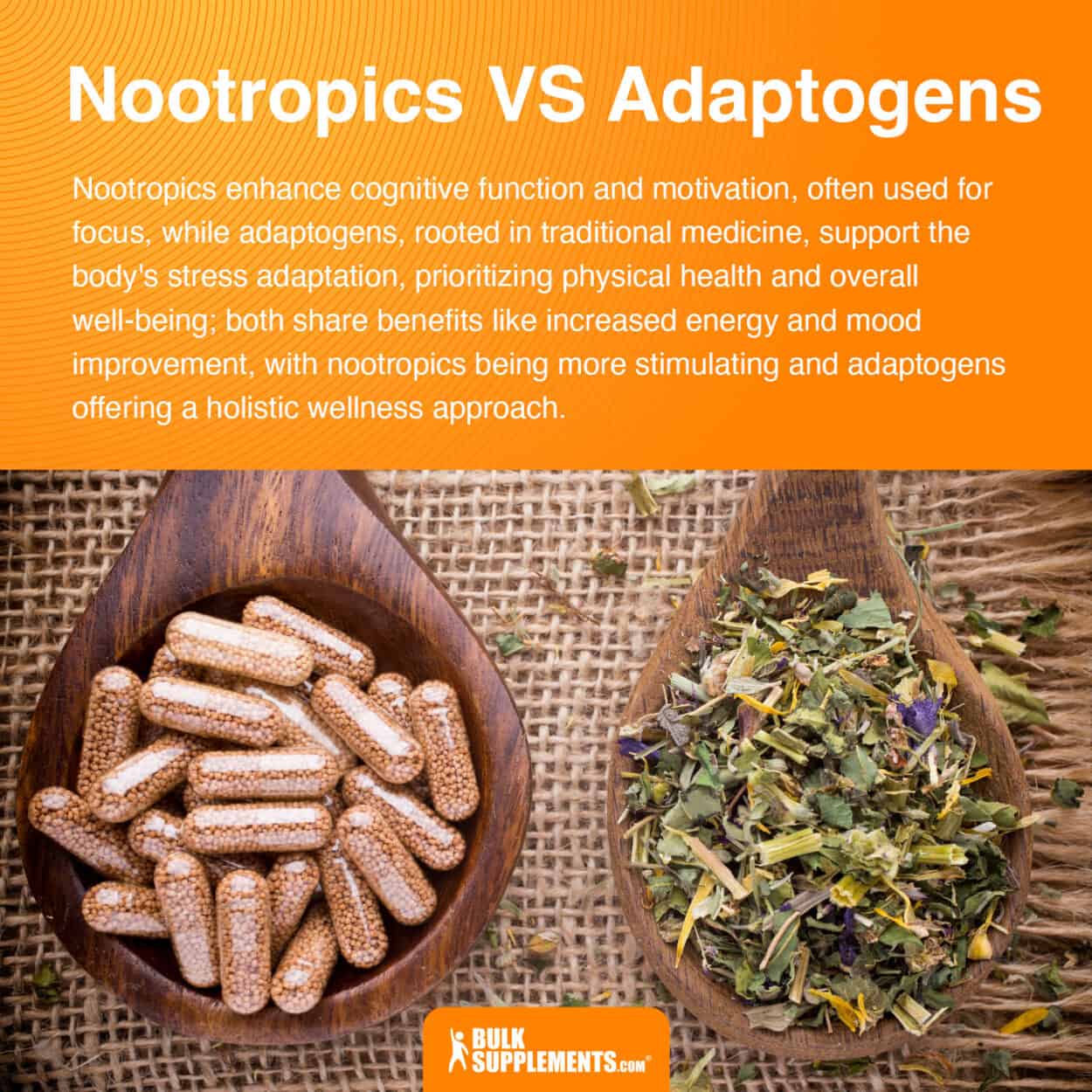 Nootropics or Adaptogens. Discover Which Is Right For You